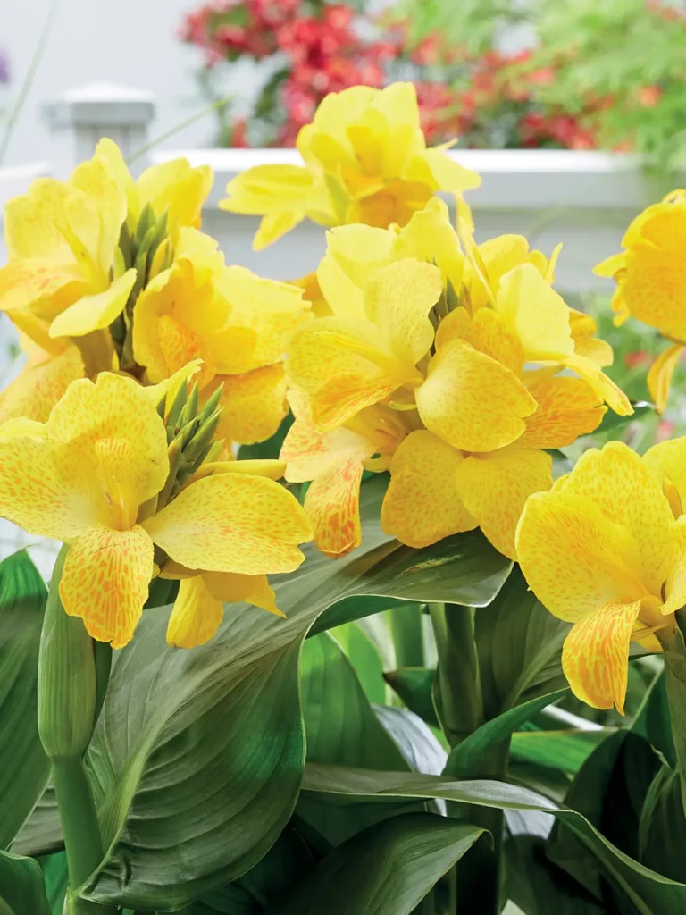 Colourful packing up your business | About Kébol