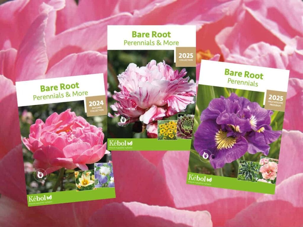 Time to order our new bare root perennials collections - Kébol