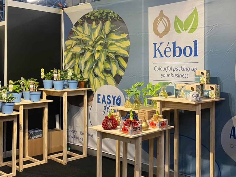 Welcome to Kébol | Colourful packing up your business